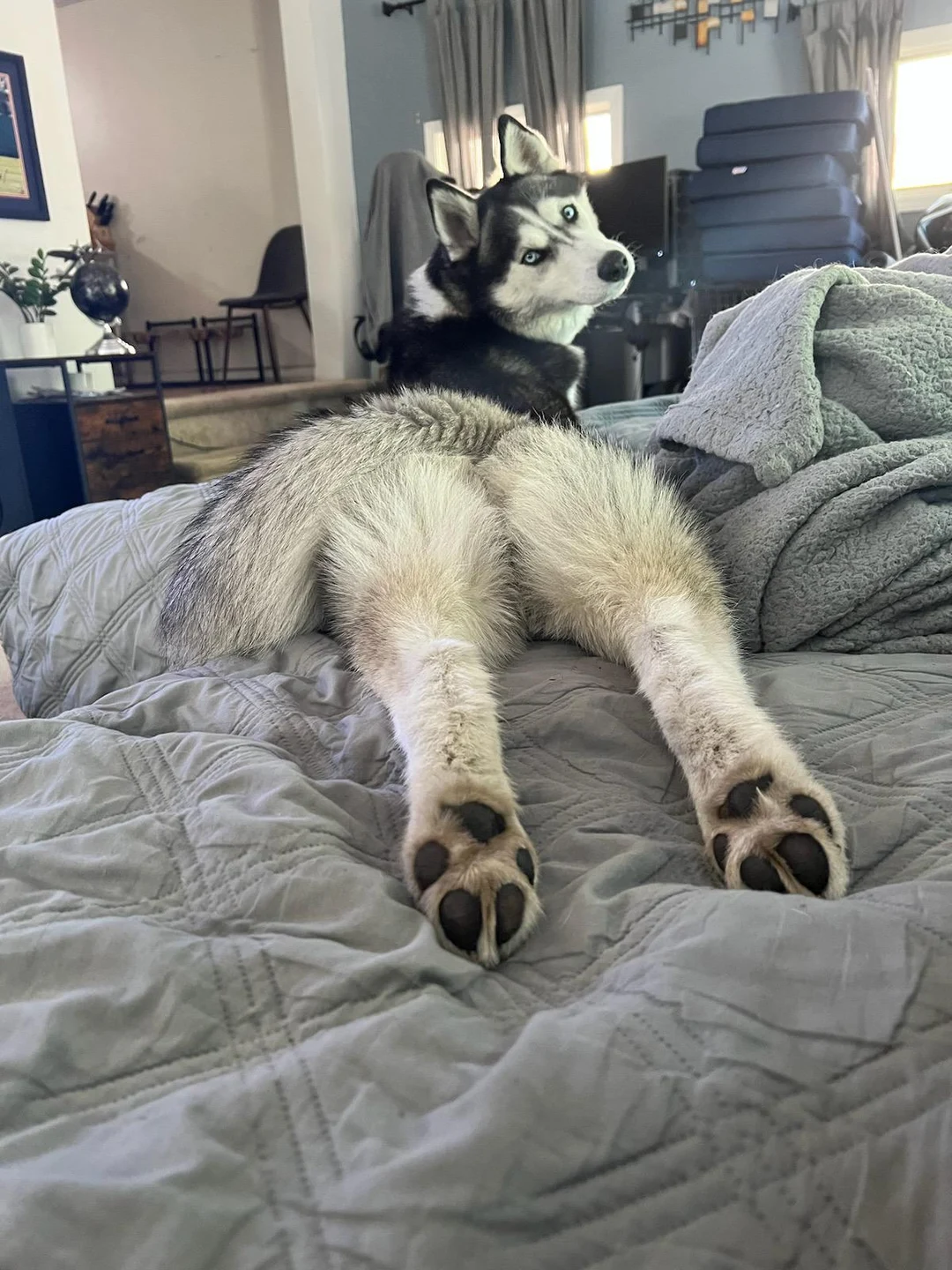 Hot dog part 2 or classic Titanic reference? | Scrolller