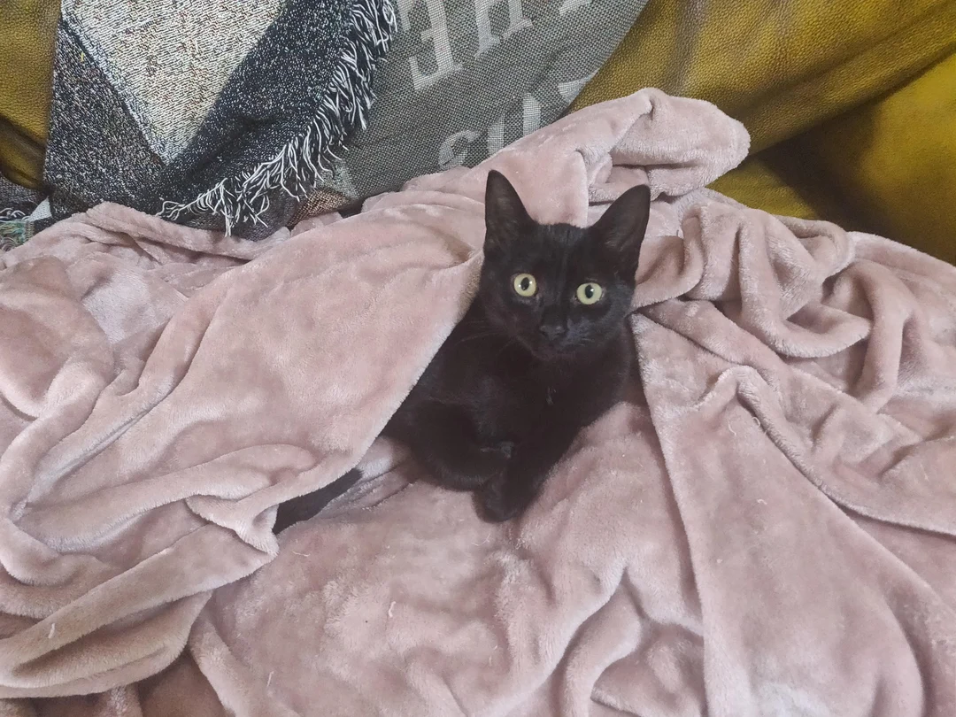 Adorable void | Scrolller