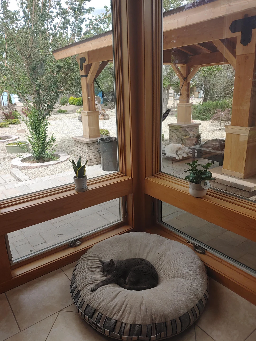 Our new house has a pretty cozy corner. | Scrolller