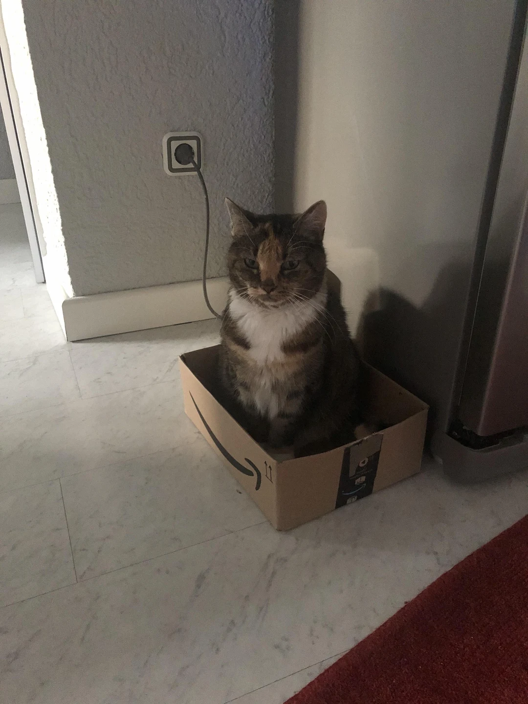 Charging up for the day | Scrolller