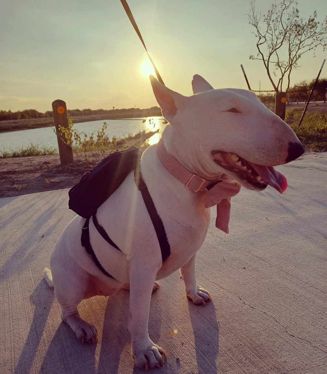 enjoying sundown | Scrolller