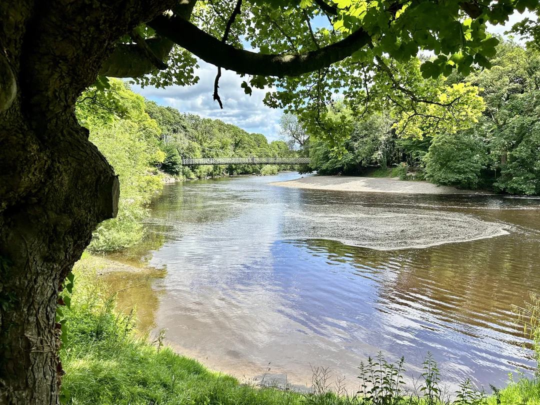 Ilkley (WR) | Scrolller