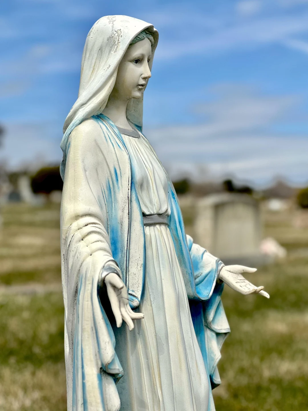 Mesa, ID | Scrolller