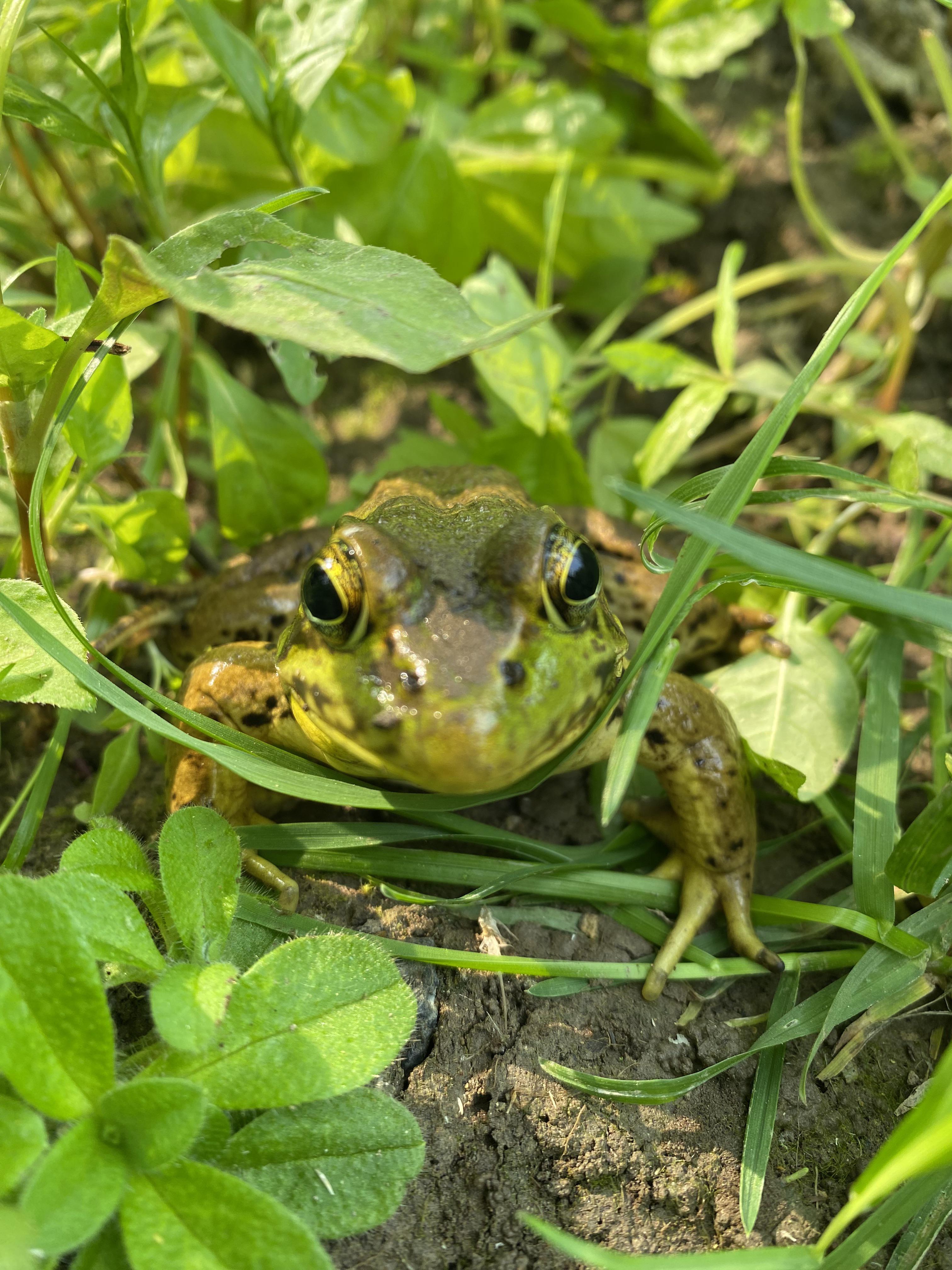 No one else want to make an appearance today | Scrolller