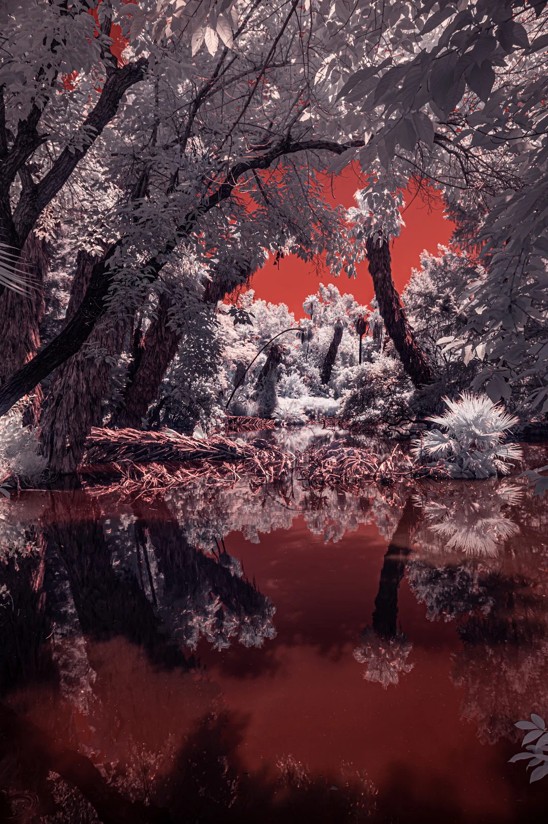 Lakeside | Scrolller