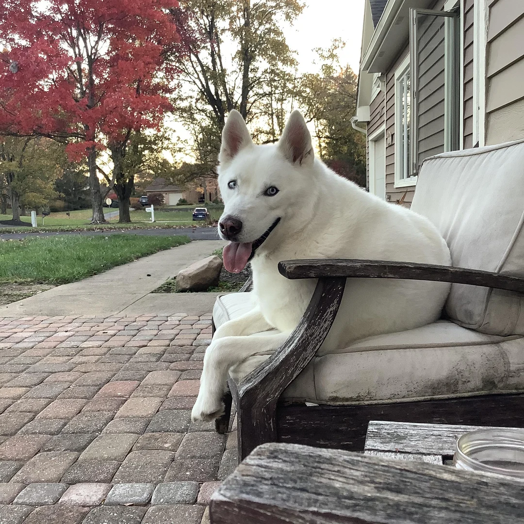 ‘Sup, peeps? | Scrolller