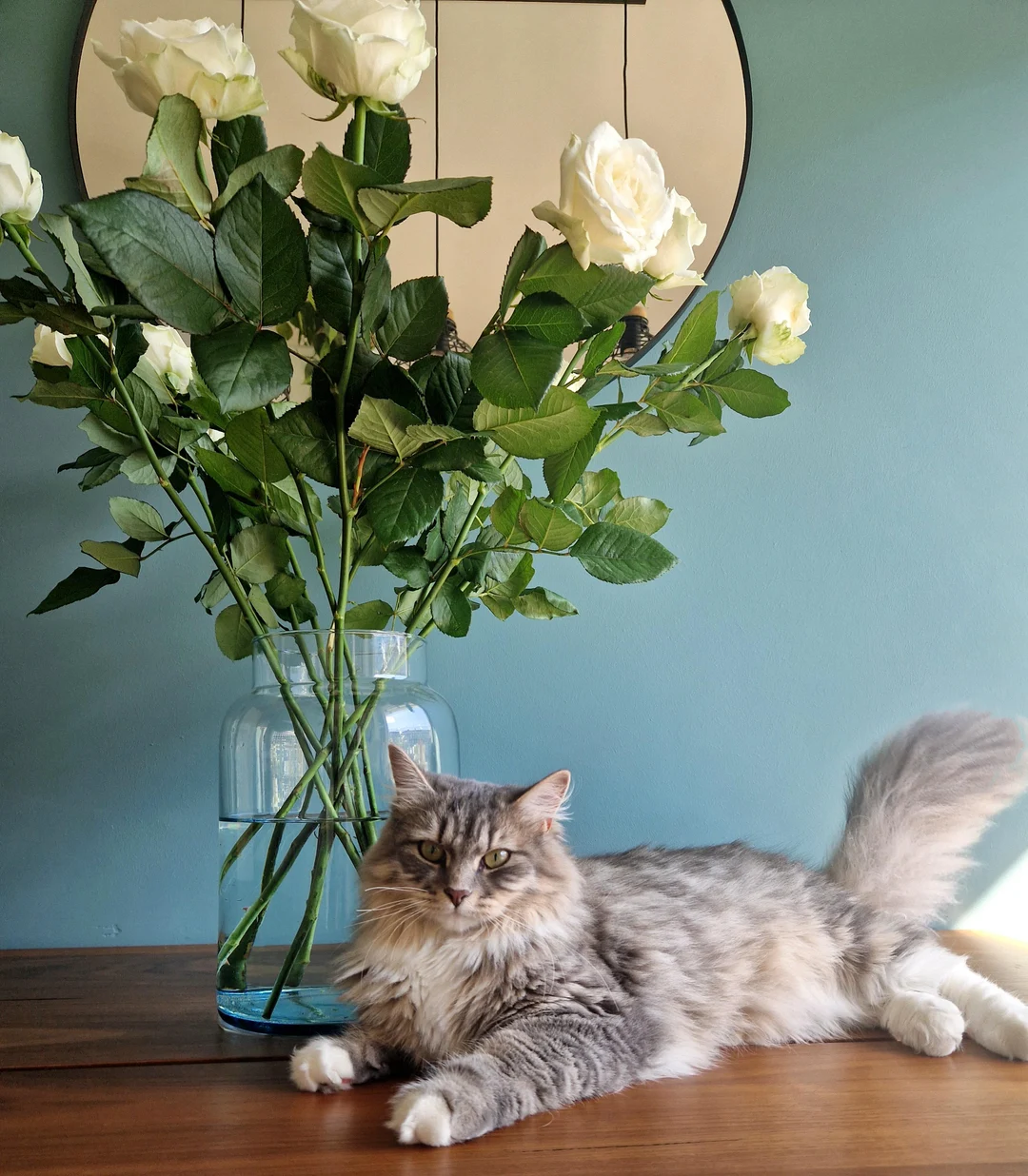 Aggression? | Scrolller