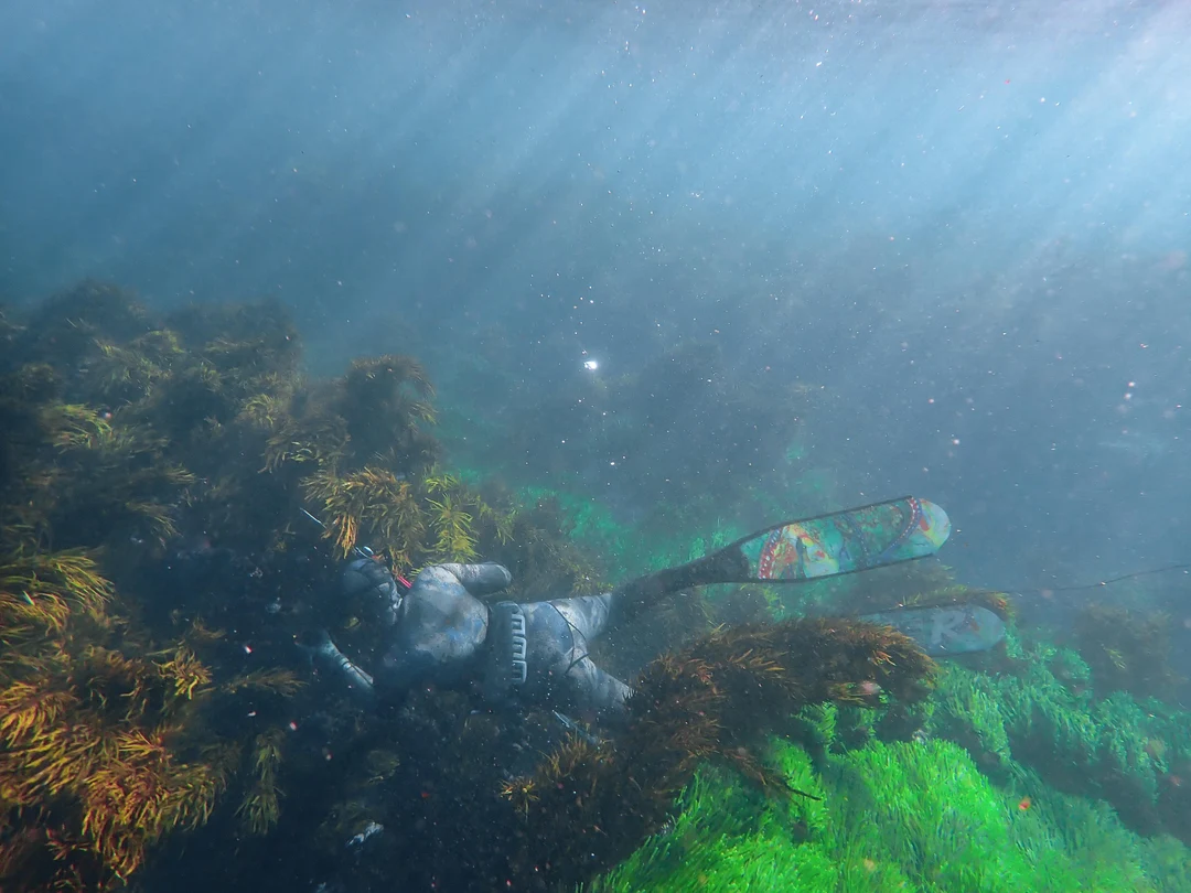Freediving, Sydney | Scrolller