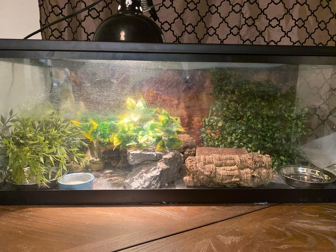 Setup tips? | Scrolller