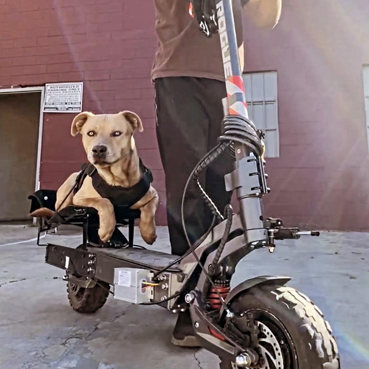 [OC] Copilot Ready | Scrolller