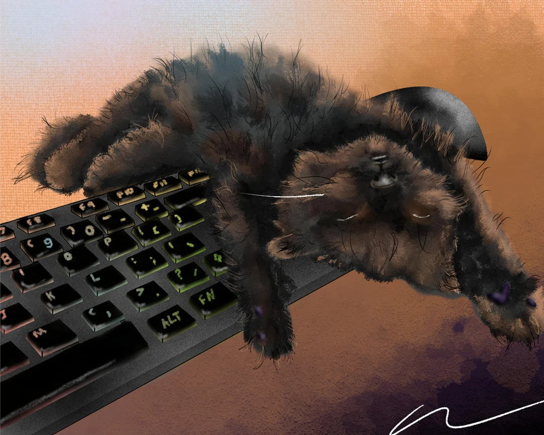 "Keyboard naps" | Scrolller