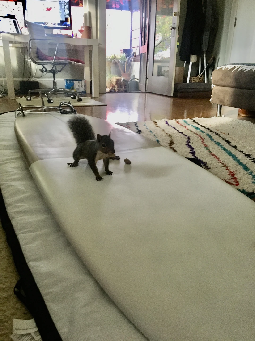 Hang Ten (little man on the long board) | Scrolller