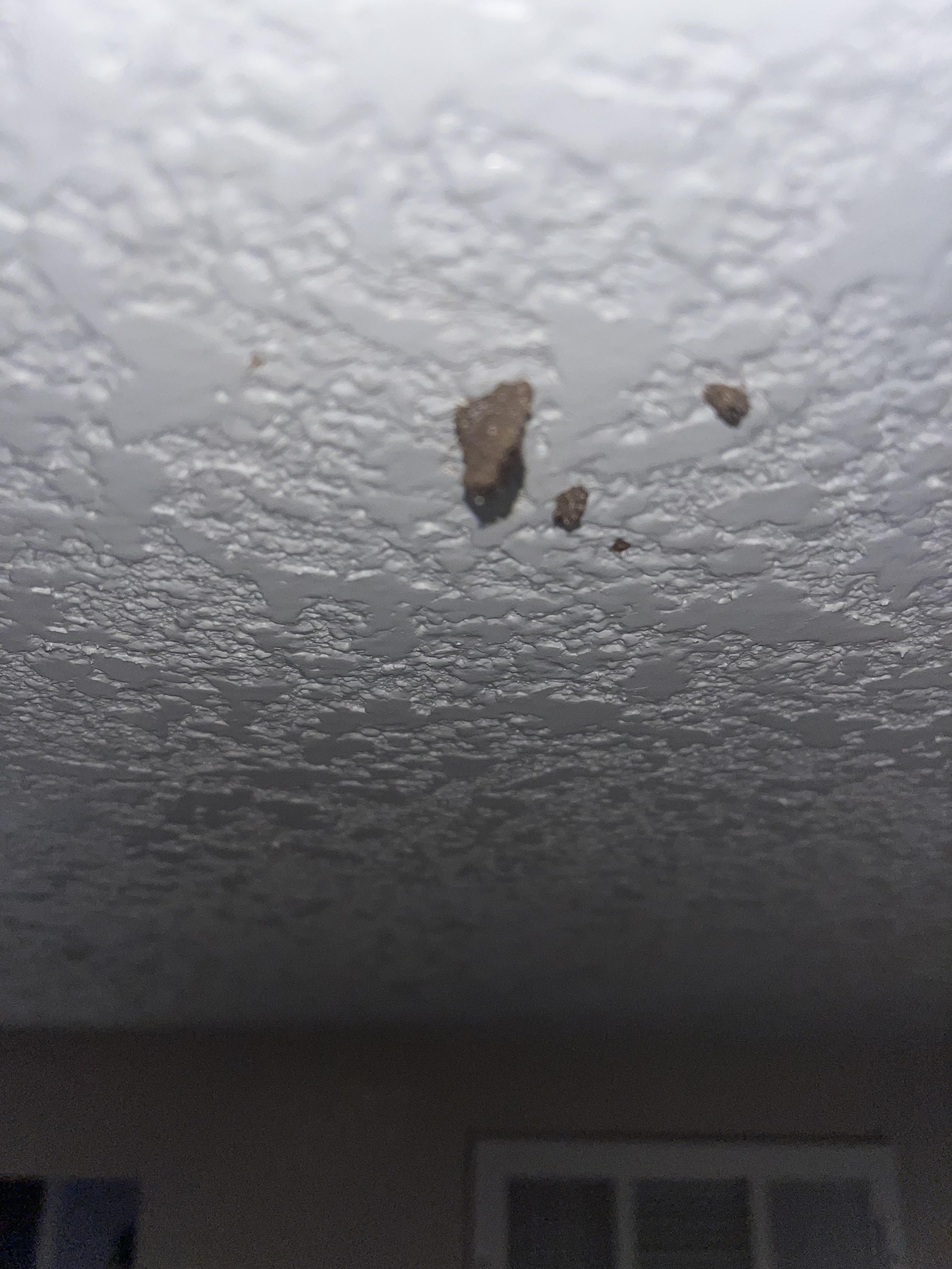 Weird shit on my ceiling | Scrolller