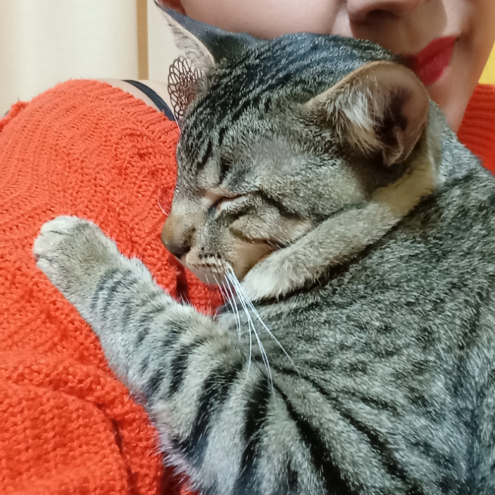 In Moms Arms Scrolller
