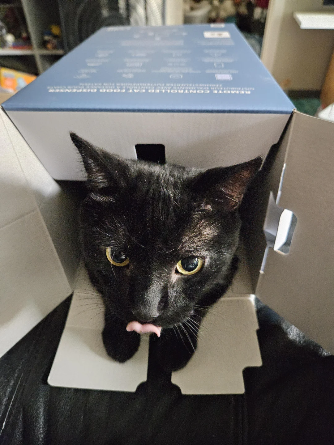 With a side of mlem | Scrolller