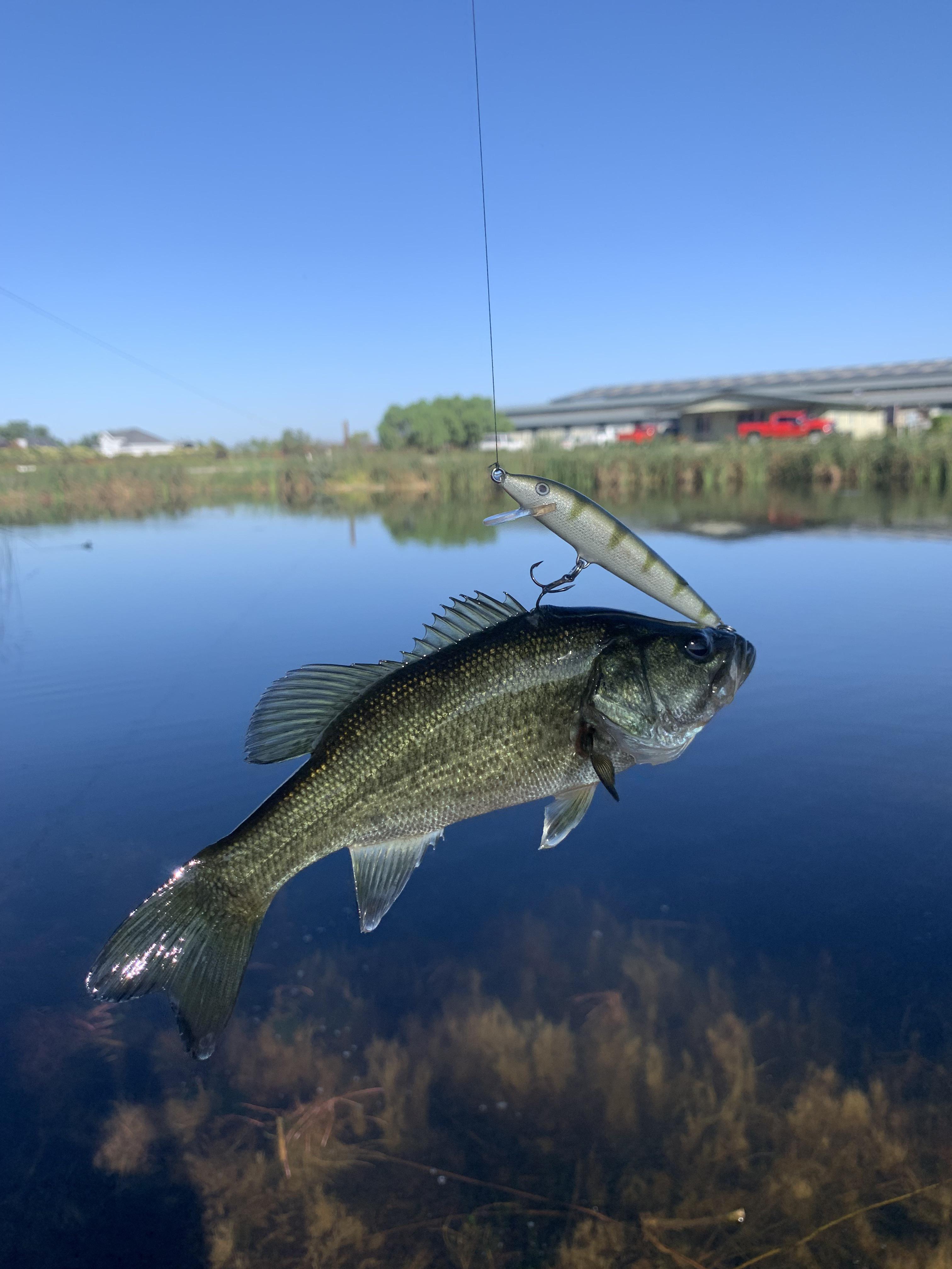 I give him an A for effort, but the execution is lacking. | Scrolller