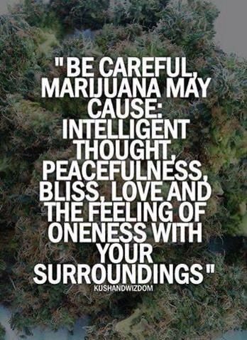 Nature walks | Scrolller