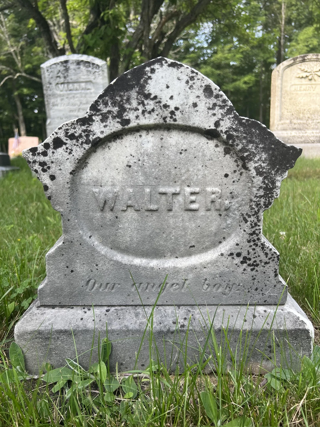 Walter. Our angel boy | Scrolller