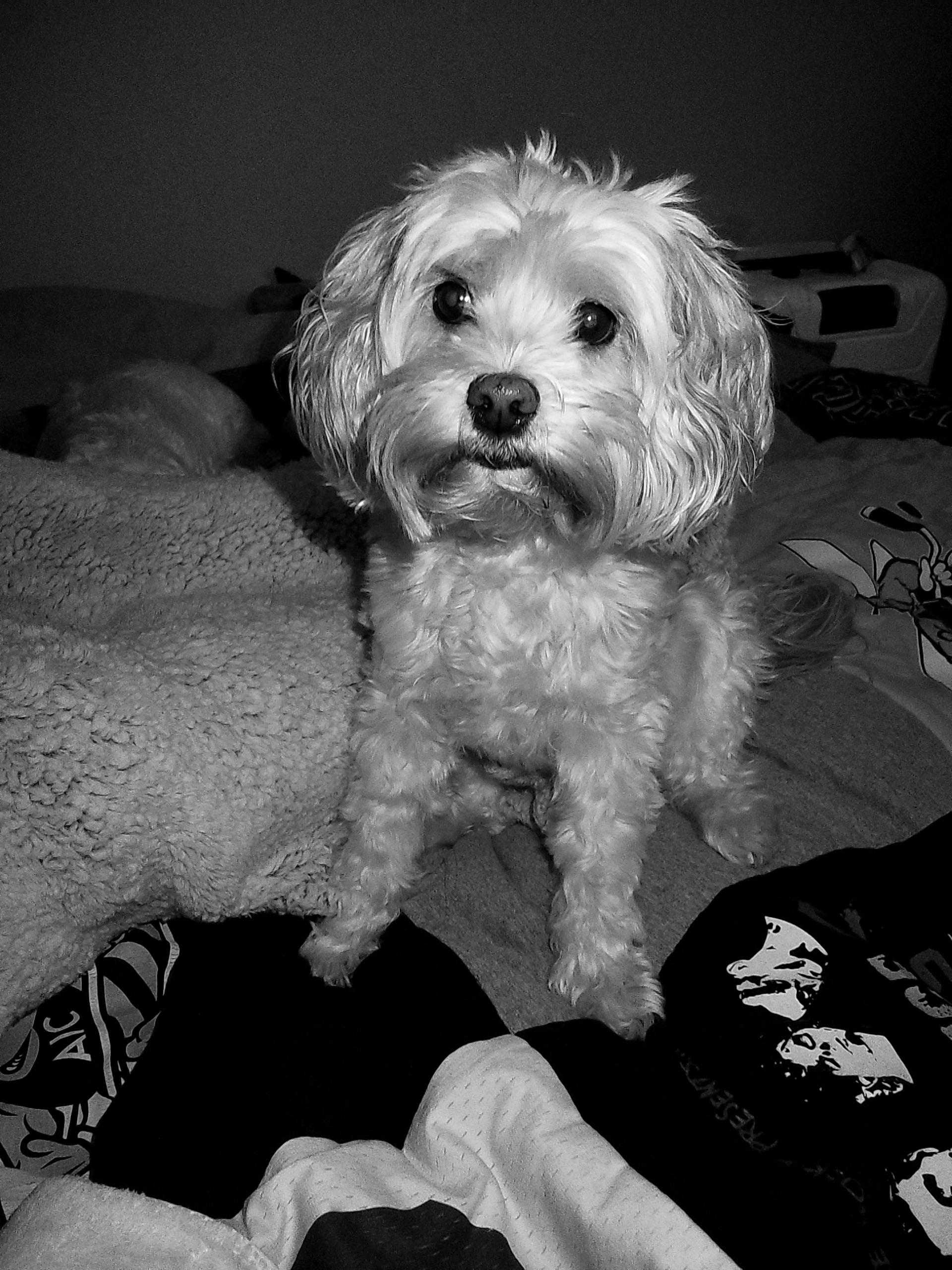 Teagan 💛 | Scrolller