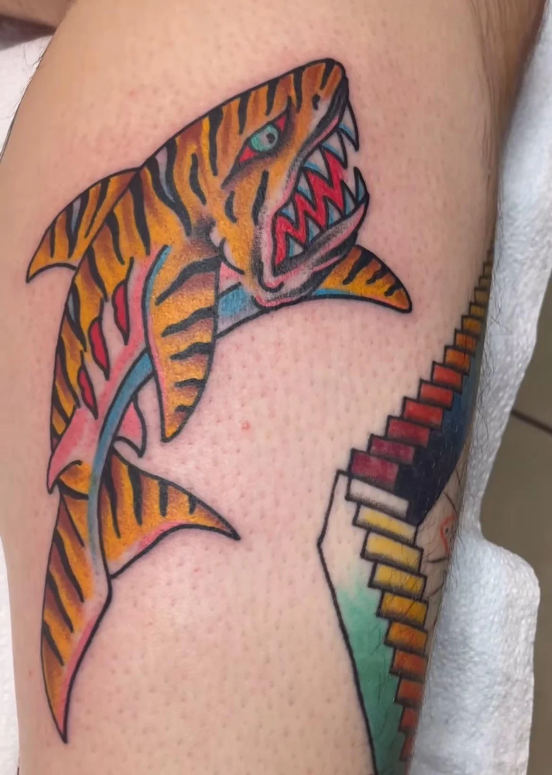 Tiger shark. Shane Vick elm street tattoo Dallas, Texas | Scrolller