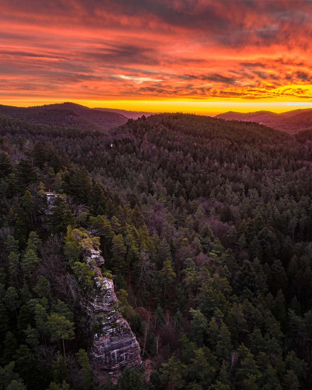 Burning sky [OC], Palatinate Forest, [4000x3200] | Scrolller