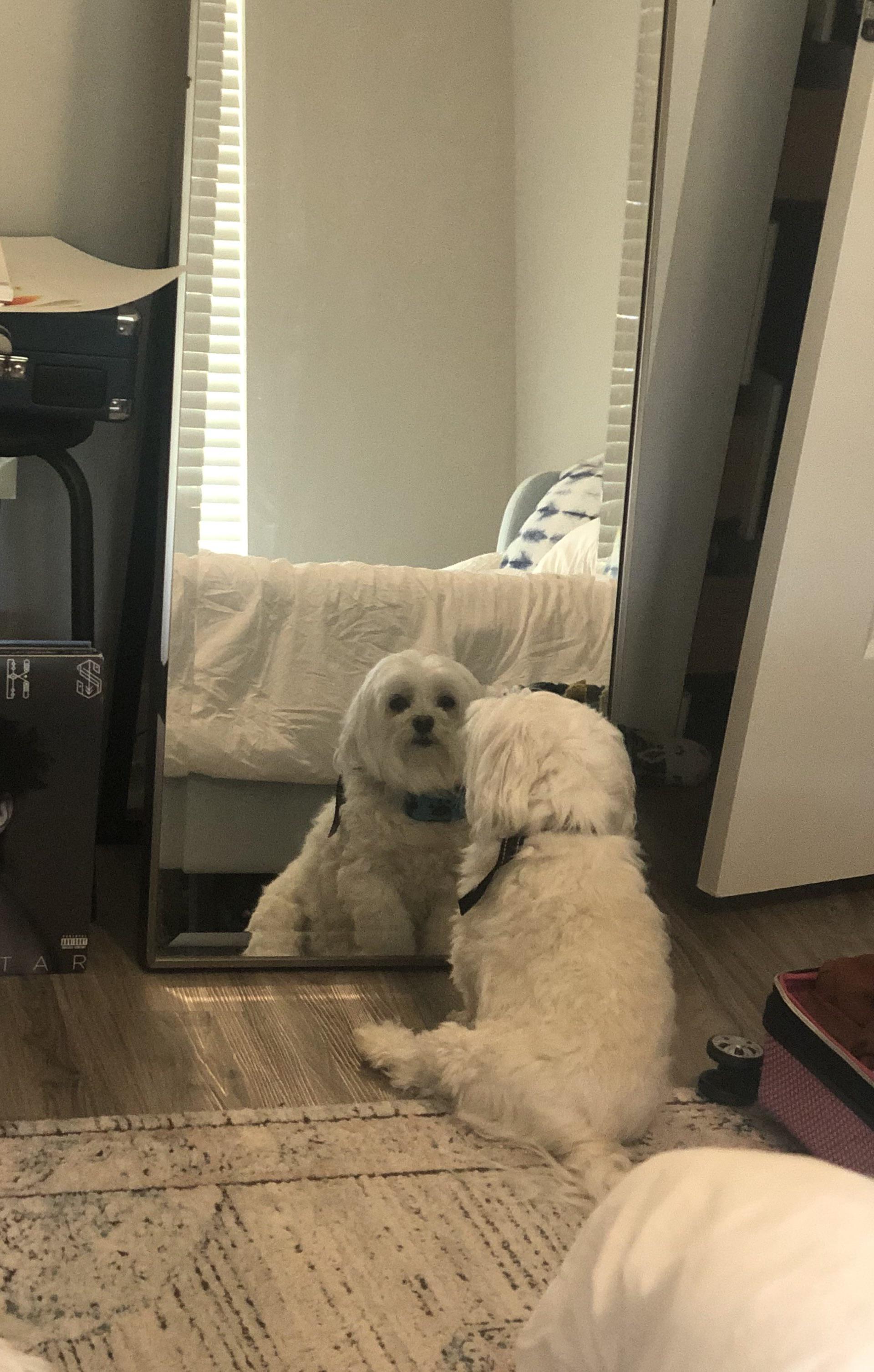 Who you calling vain?! | Scrolller