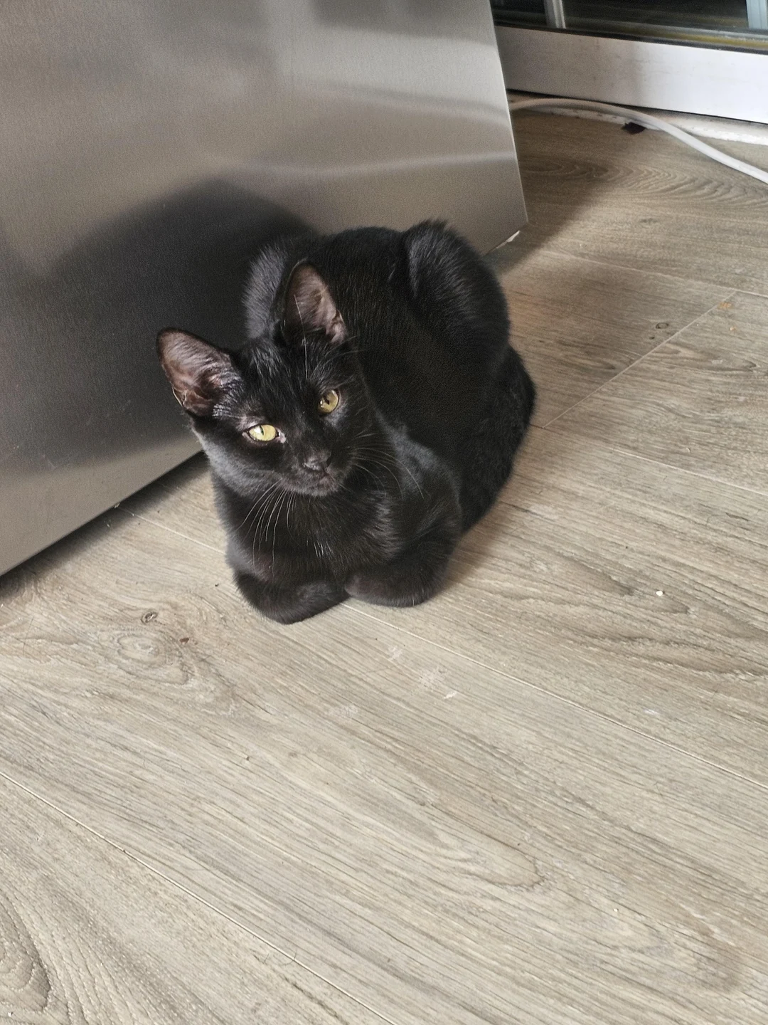 Pat loafing | Scrolller