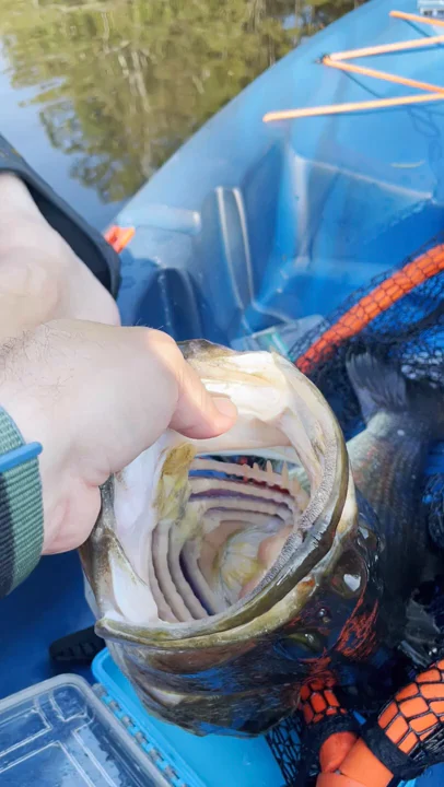 Ahh that sweet release. | Scrolller