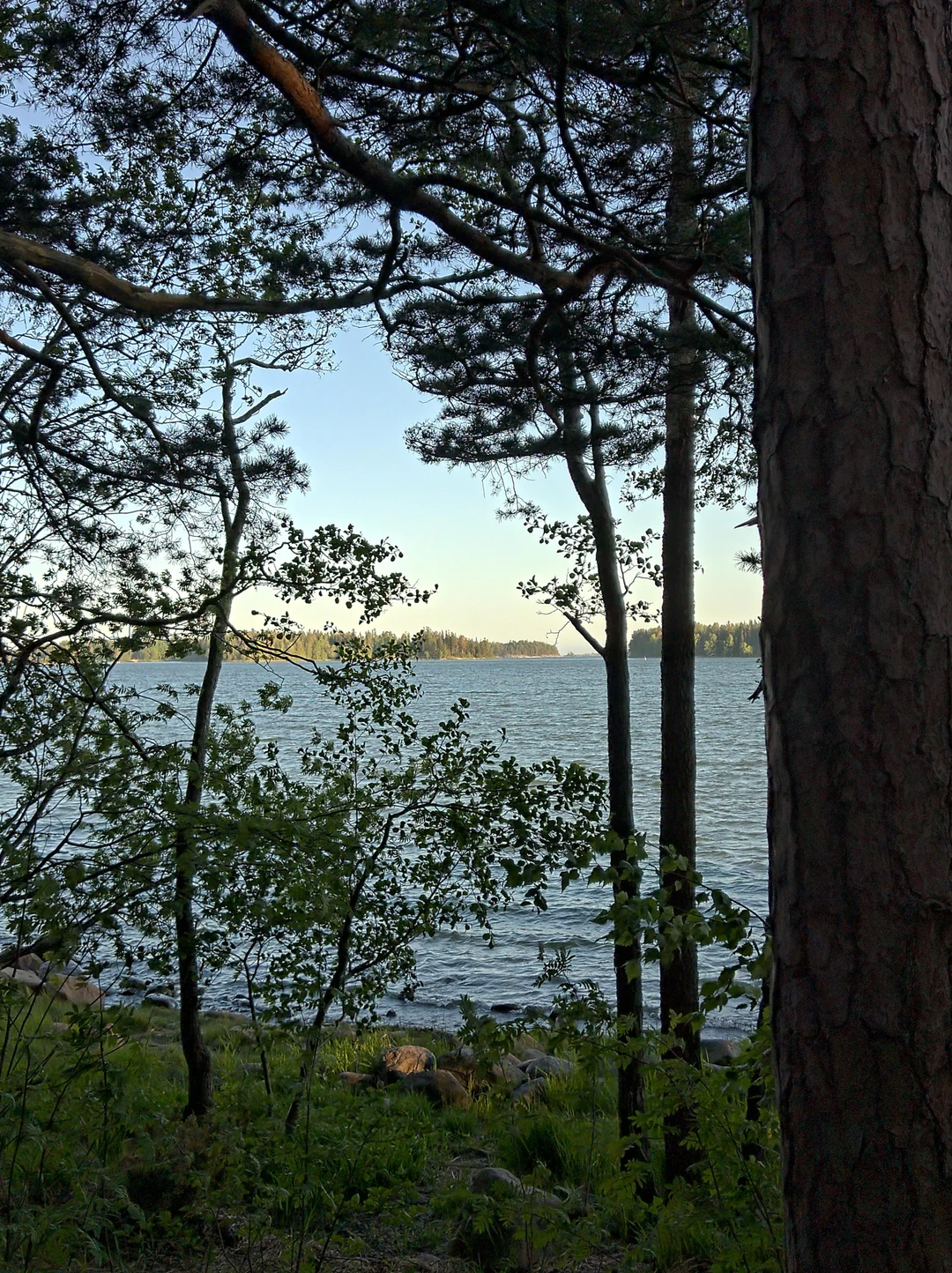 Summer evening on the sea in Espoo, Finland [OC] [3016x4032] | Scrolller