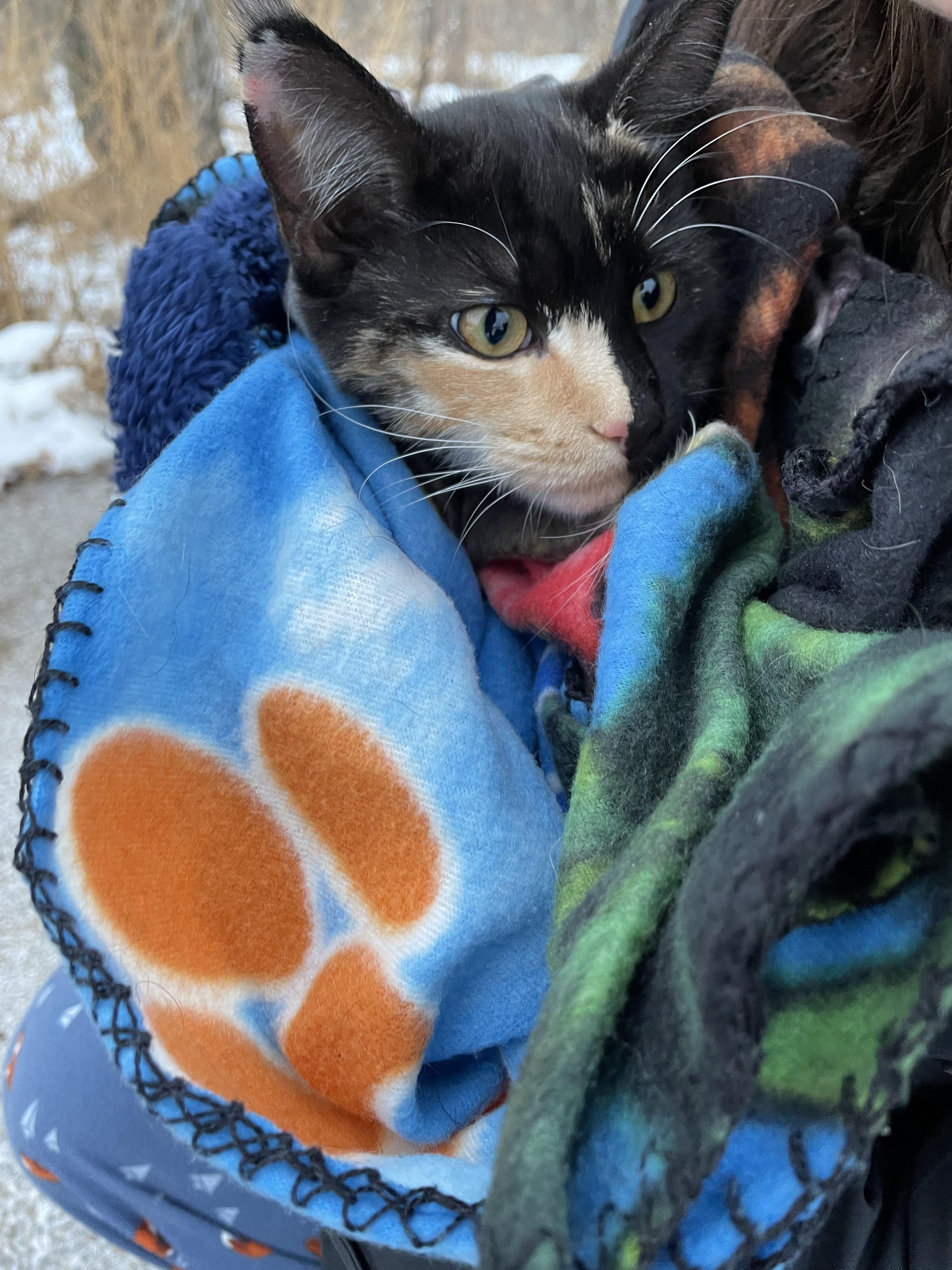 Snuggly walk | Scrolller