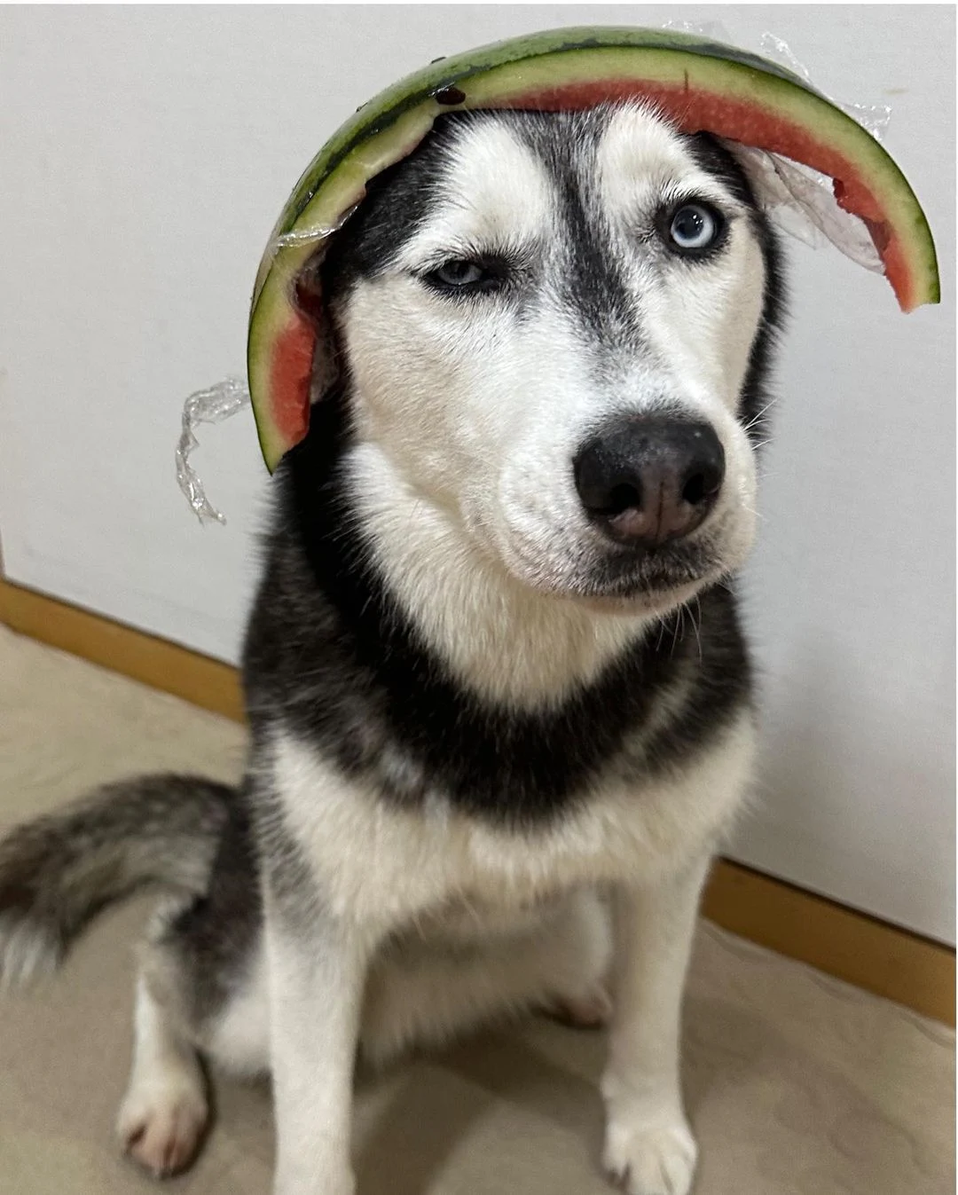 Mom said I'm in one of melon | Scrolller