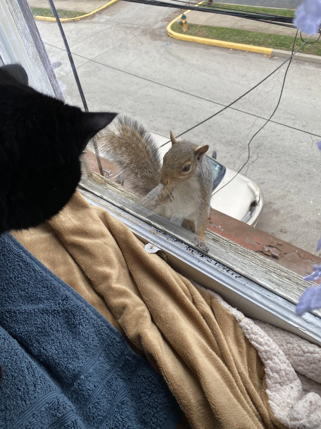 Our new friend was happy to learn we have snacks | Scrolller