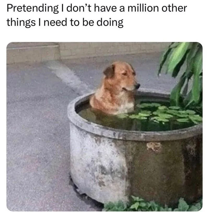 Just acting like there is nothing else :3 | Scrolller