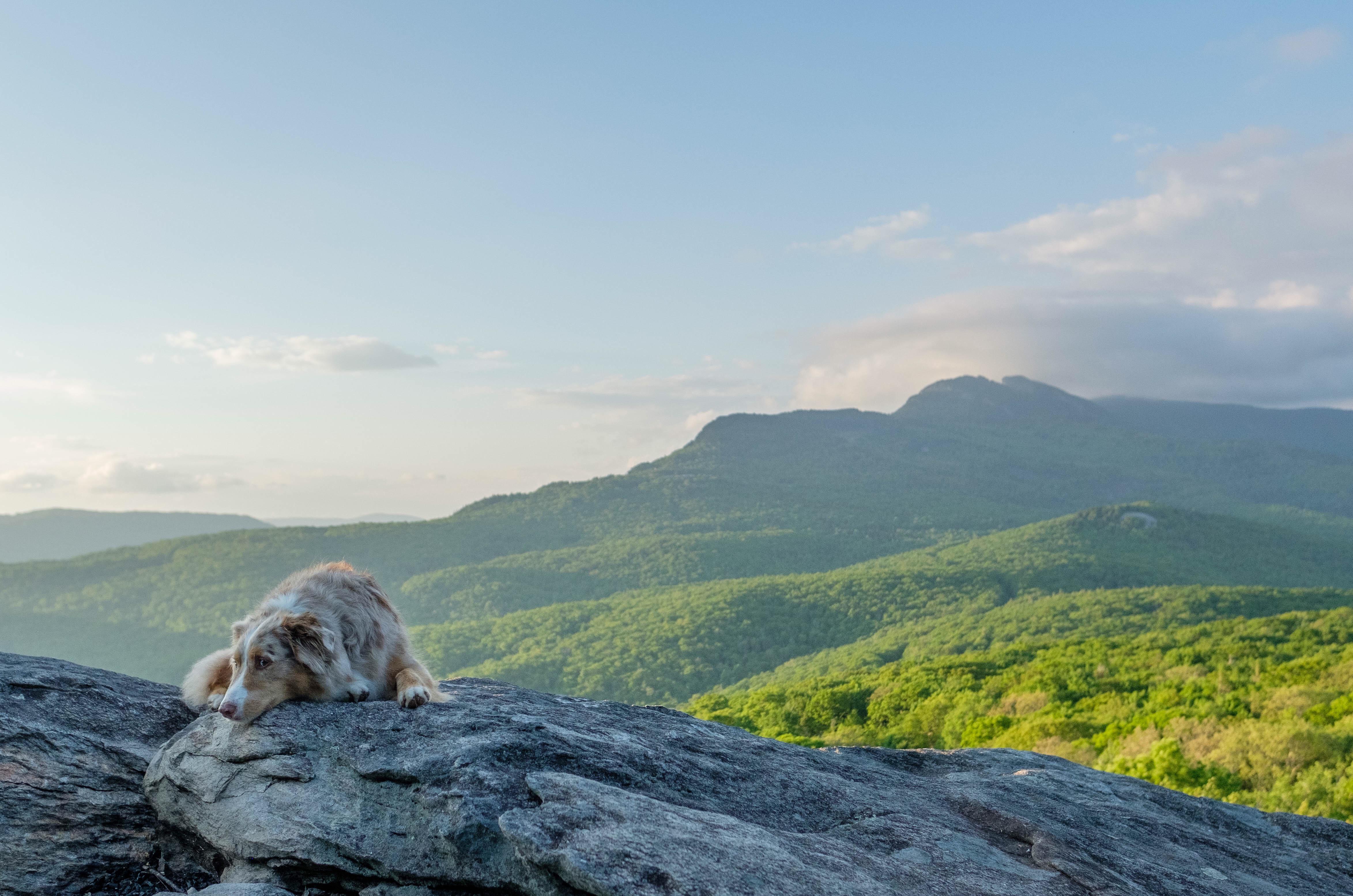 Napping in the mountains | Scrolller