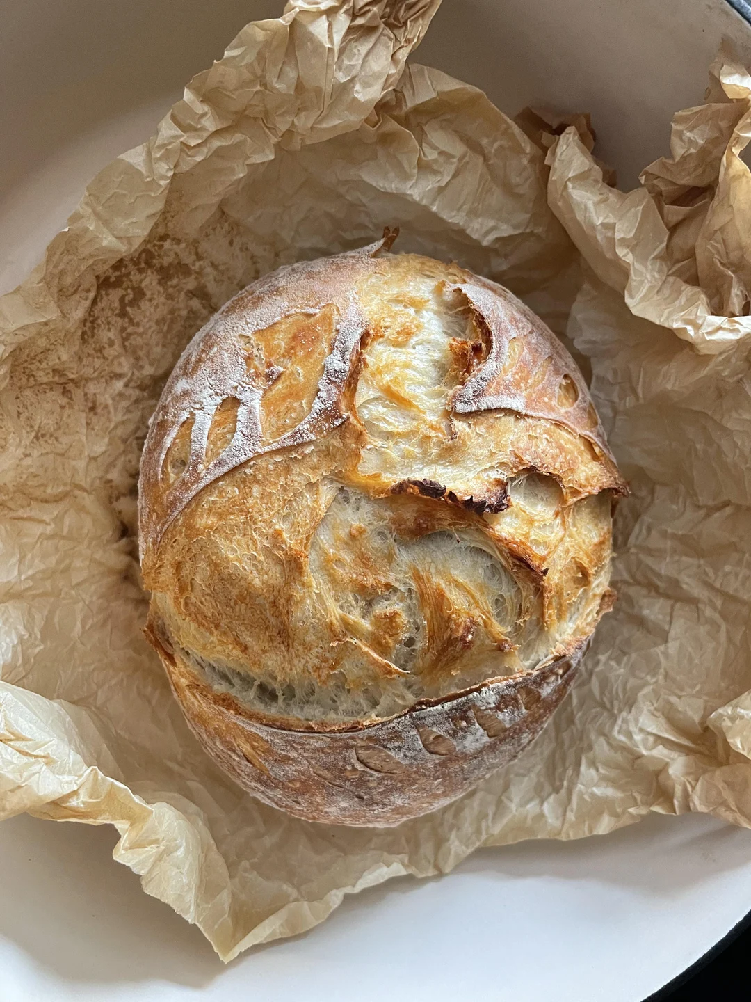 Beginners luck? | Scrolller