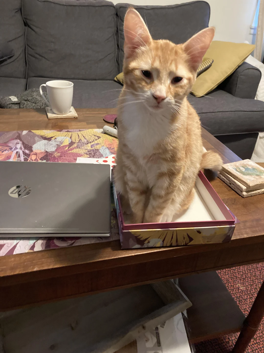 Size doesn’t matter | Scrolller