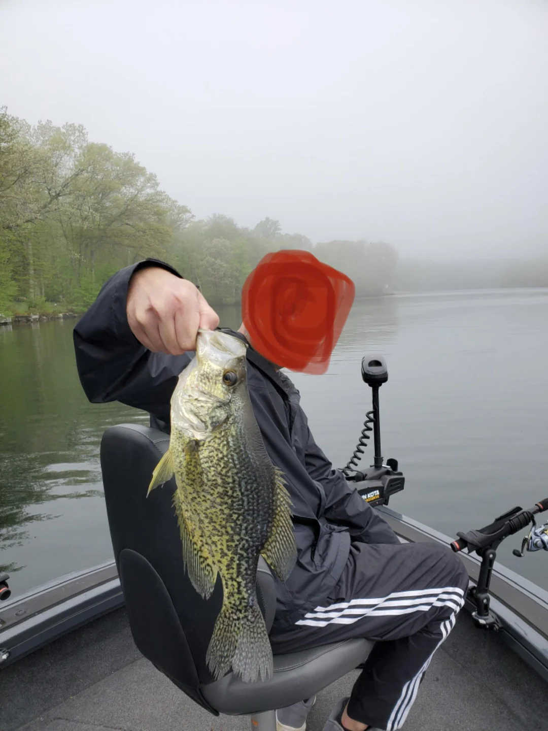 18” crappie. PB caught in CT | Scrolller