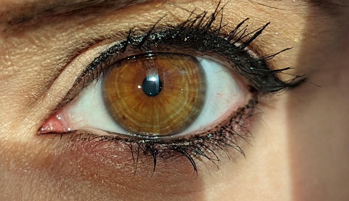 Pretty sure I'm light brown? | Scrolller