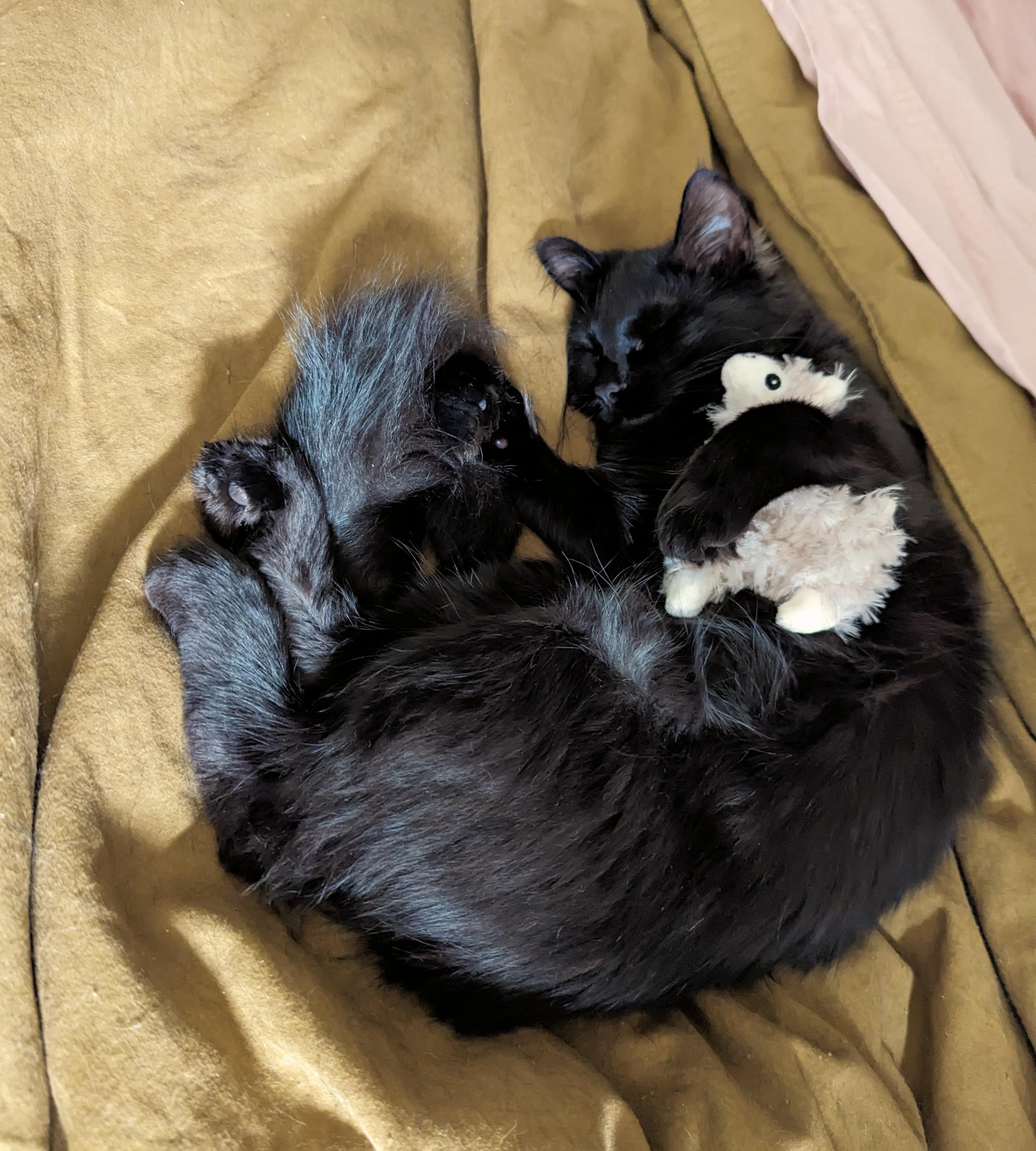 BRB just over here weeping | Scrolller