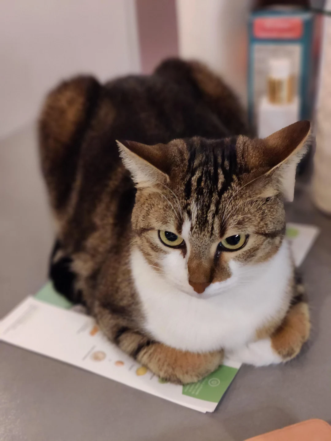 Caution oversize load | Scrolller