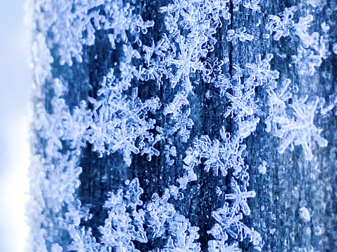 snowflakes ️ | Scrolller