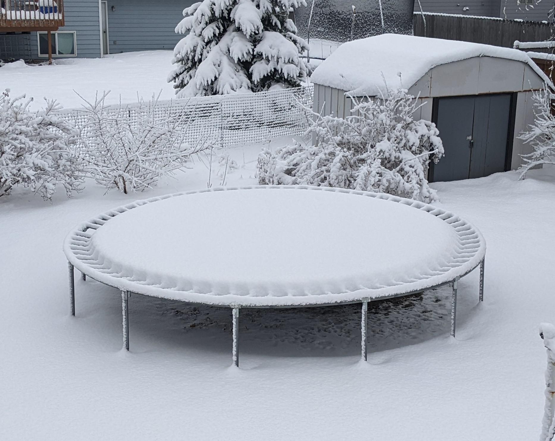 Discover more like Forbiddensnacks: Forbidden Uncrustable and Related Content | Scrolller