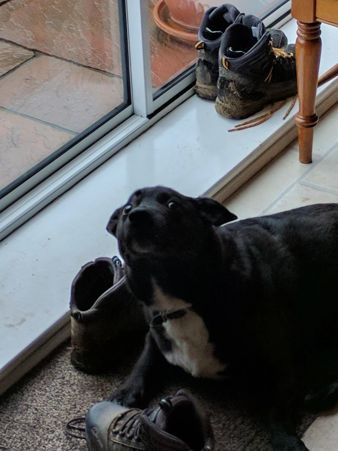 Hands off my boot | Scrolller