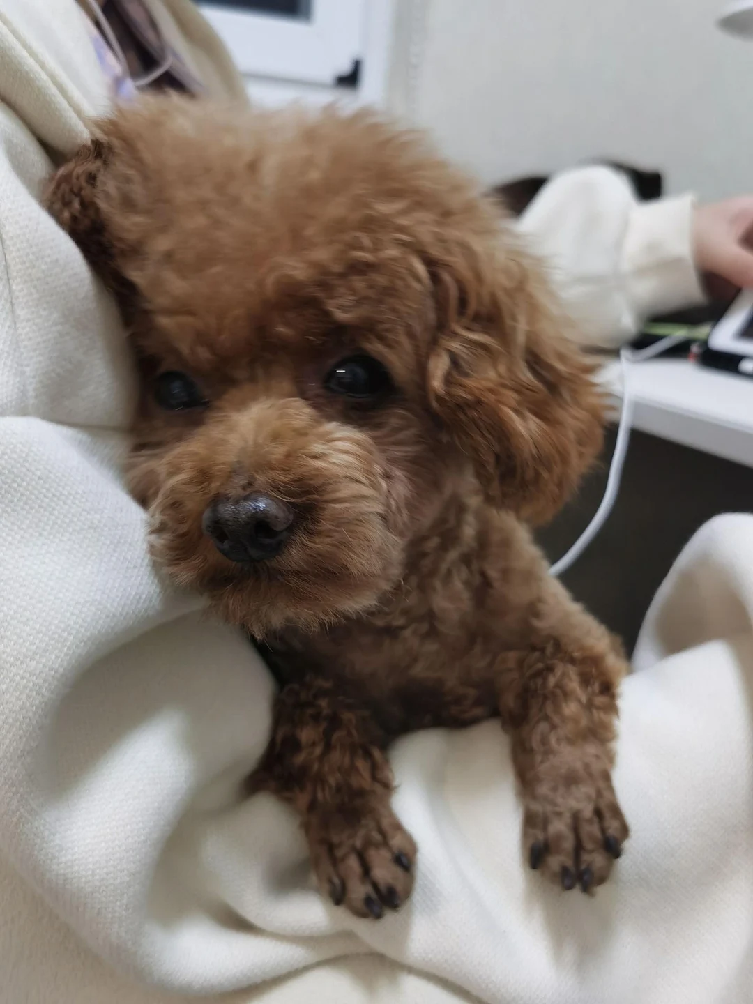 Happily nestled in my sister's embrace... | Scrolller