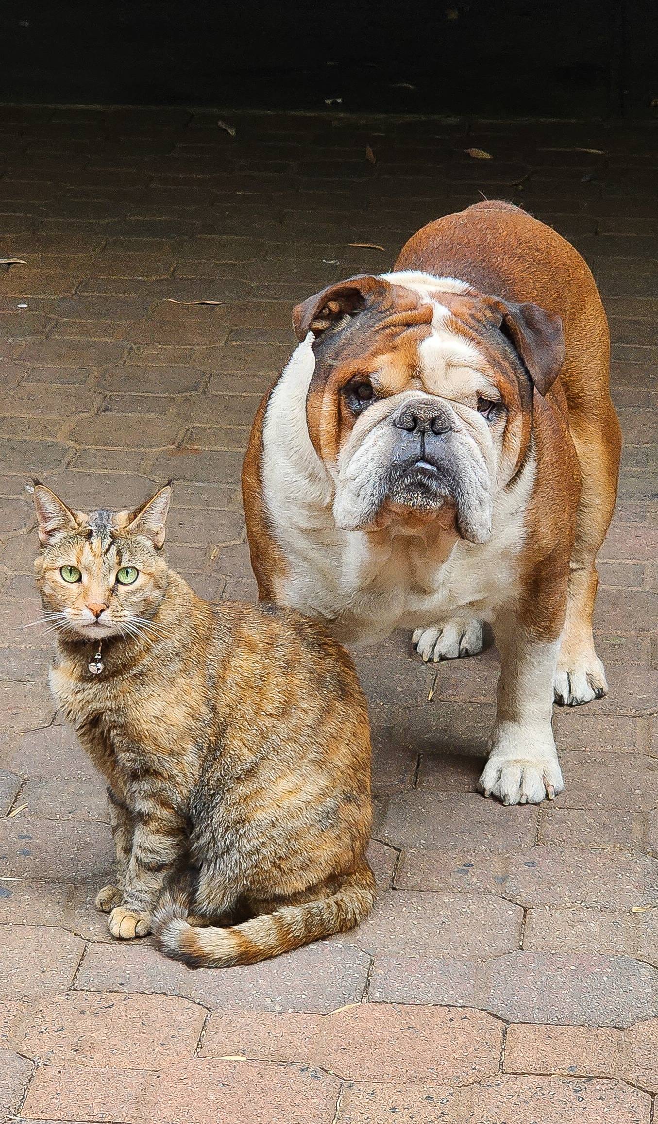 Besties! | Scrolller