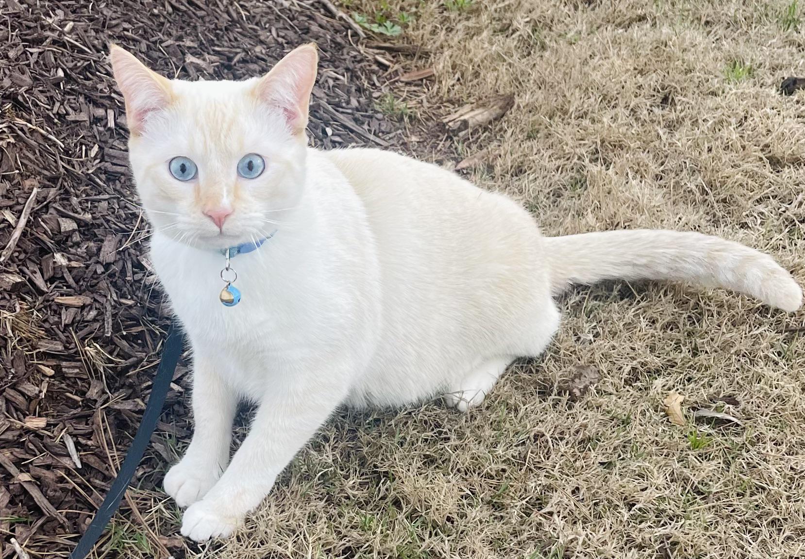 Casper 😹 | Scrolller