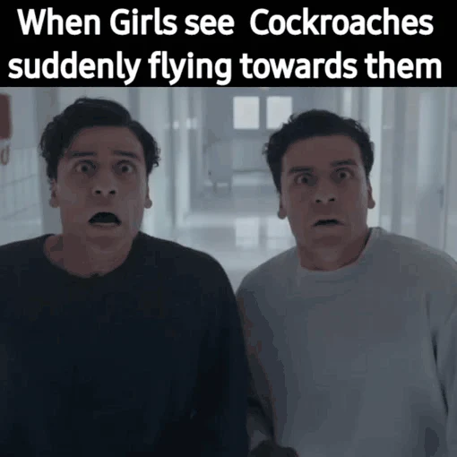 When girls see a cockroach | Scrolller