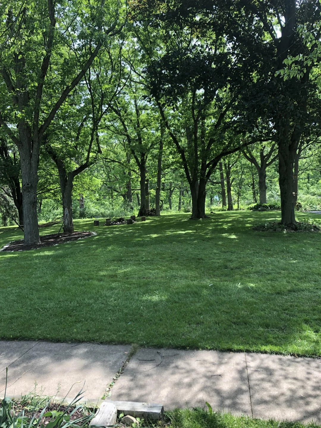 Not a room, but my front yard. House is nice, but this is the best part. | Scrolller