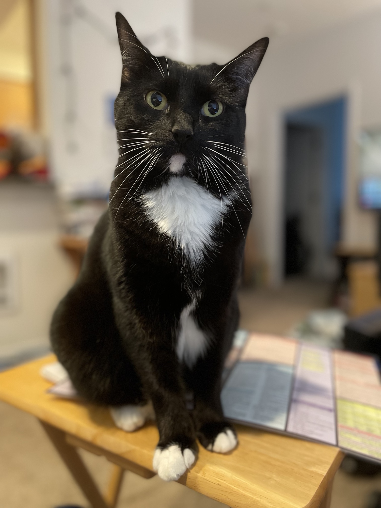 Moonrise has his people well supervised. [OC] | Scrolller