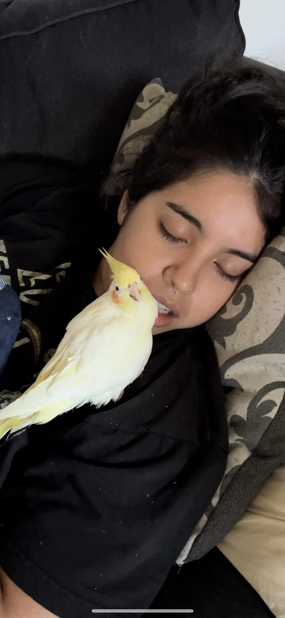 My birb proteccs | Scrolller